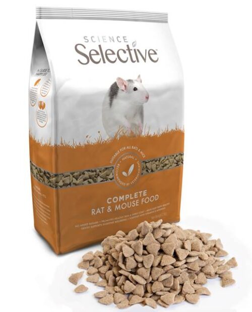 Rat & Chinchilla Care Advice | Tiny Paws MCR